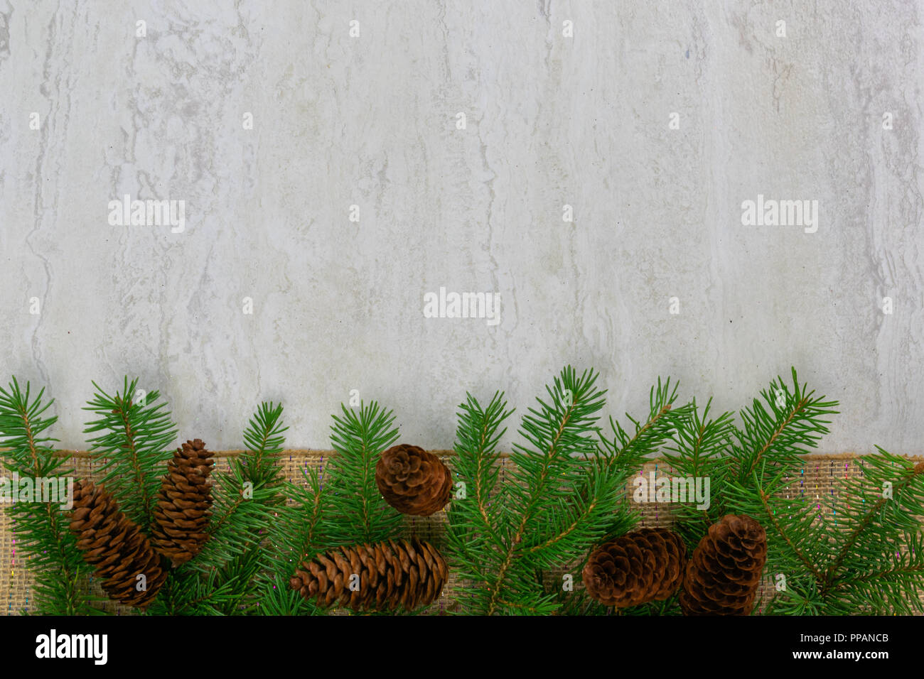 Spruce boughs with pine cones on a burlap ribbon along the bottom side ...