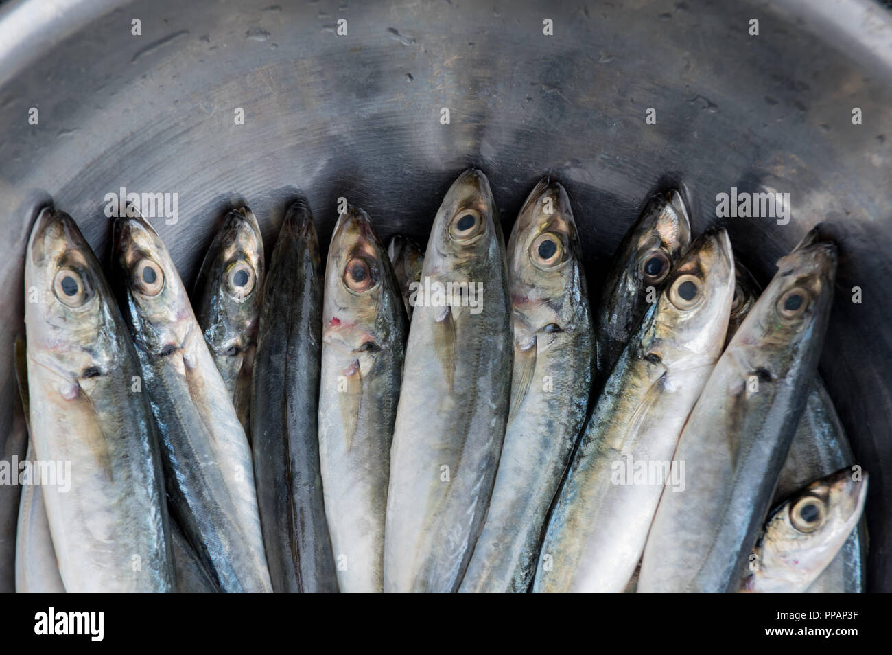 Fish marketing hi-res stock photography and images - Alamy