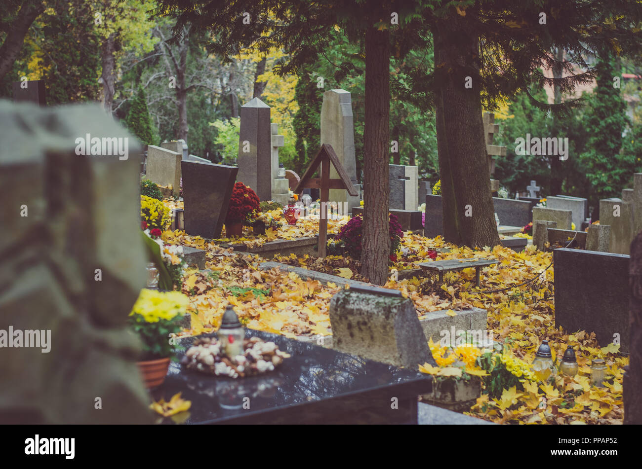 decorated graves in cemetery during All Saints Day in autumn time Stock ...