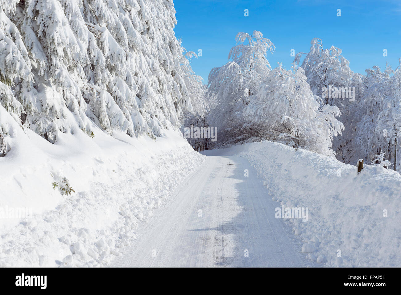Freiburg winter germany hi-res stock photography and images - Alamy
