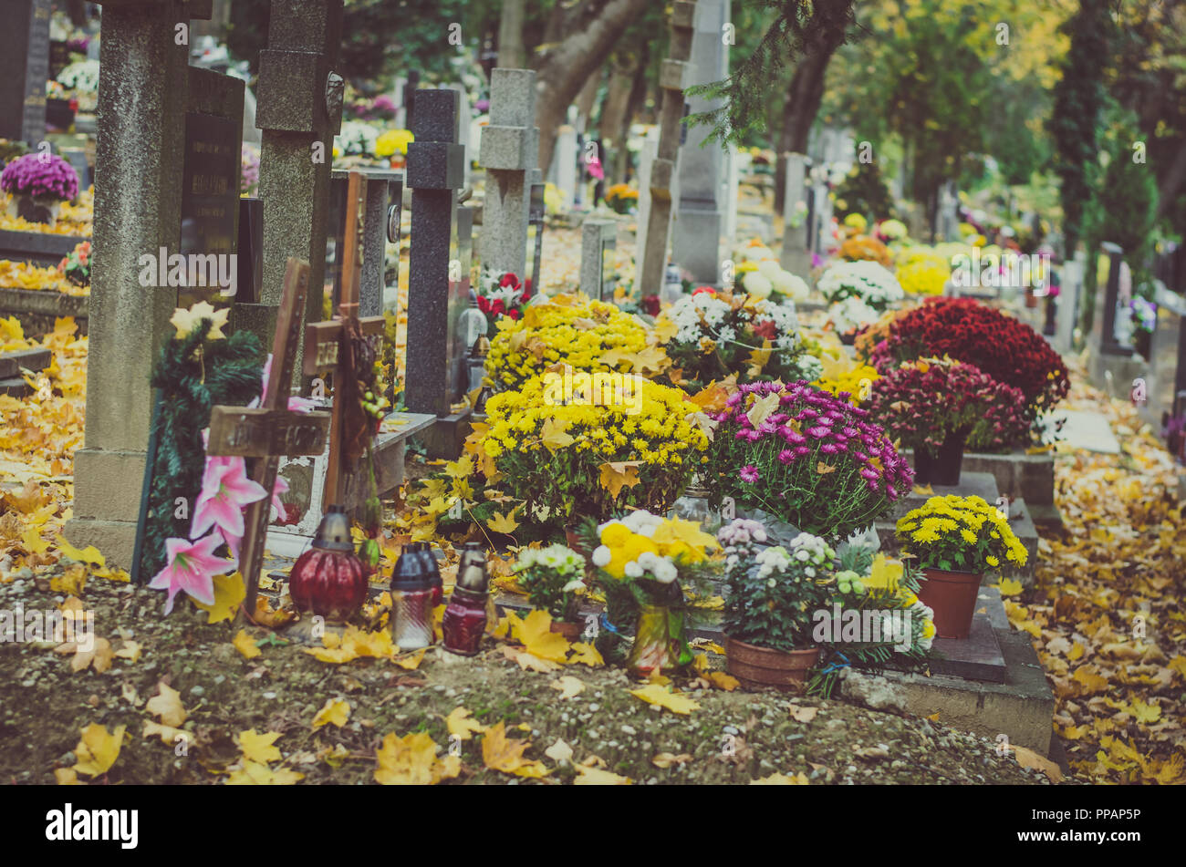 decorated graves in cemetery during All Saints Day in autumn time Stock ...