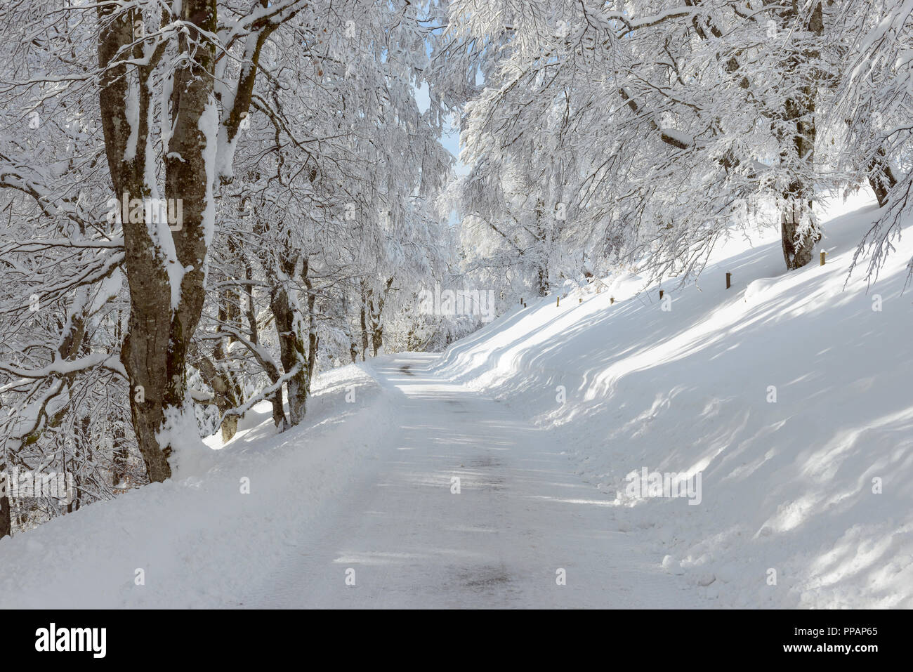 Snow covered road in winter, Schauinsland, Black Forest, Freiburg im ...