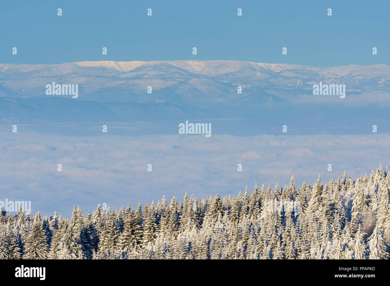 Look to the snow covered Vosges Mountains, Schauinsland, Black Forest ...