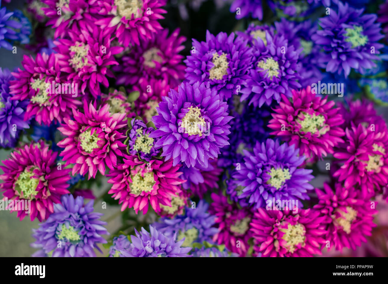 Astra blue hi-res stock photography and images - Alamy