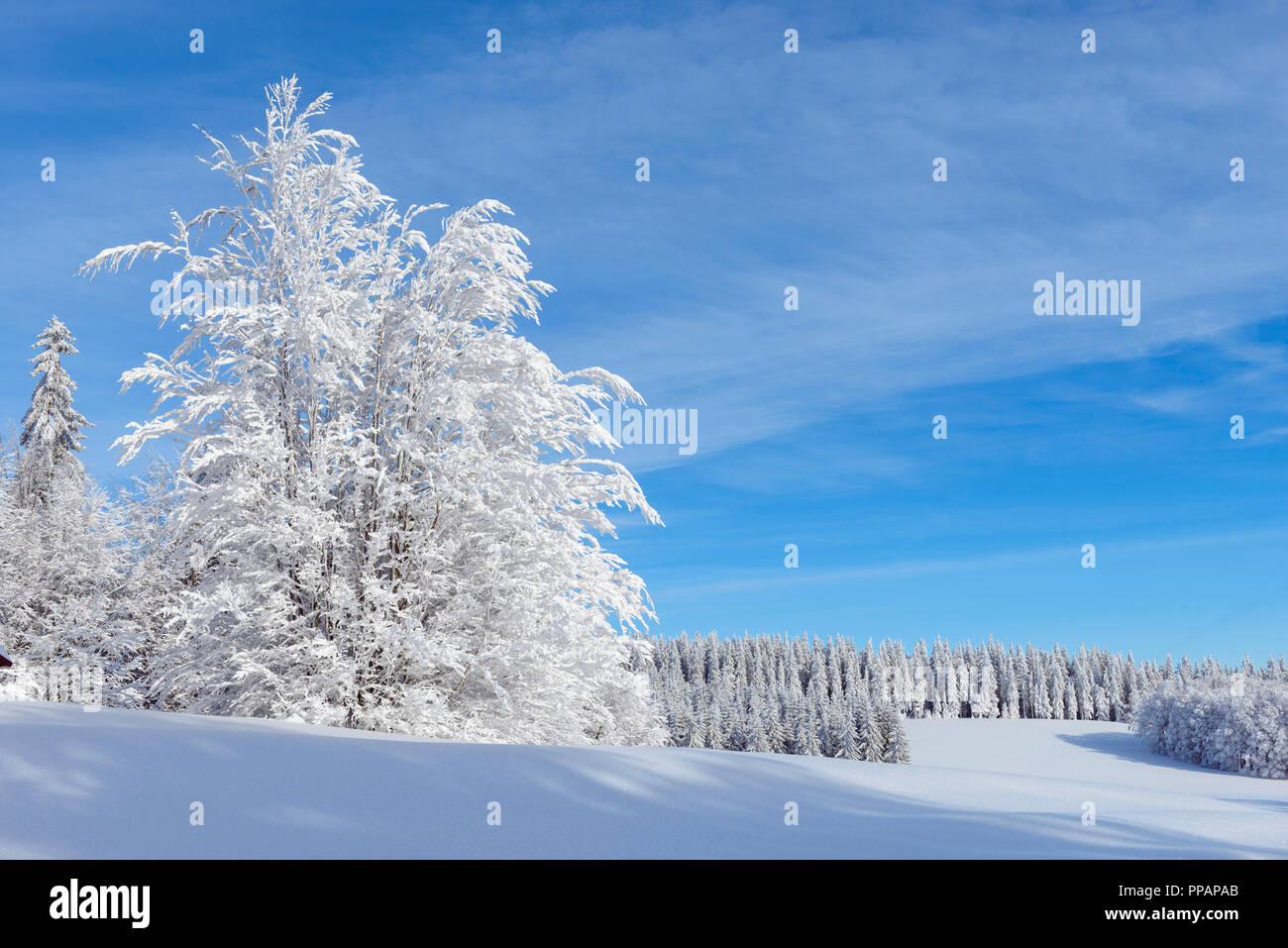 Freiburg winter germany hi-res stock photography and images - Alamy