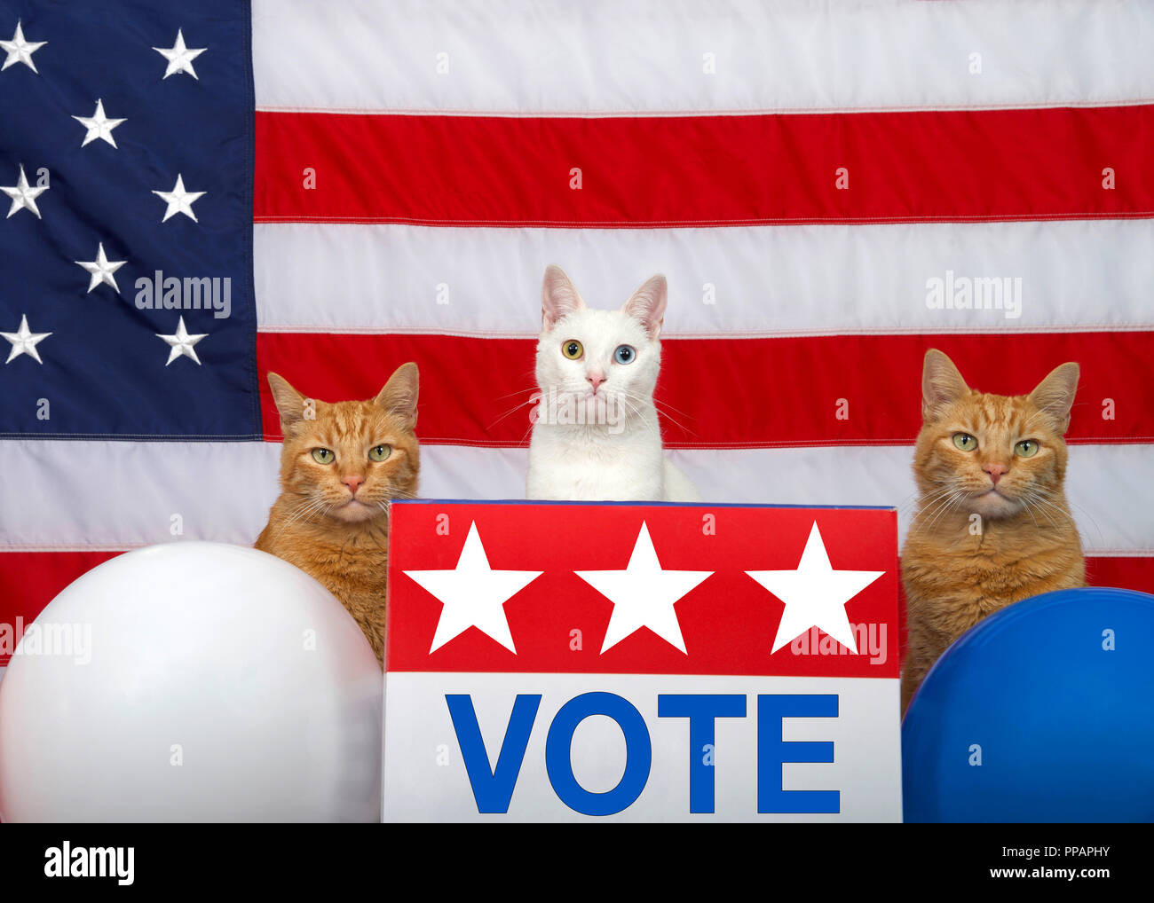 American flag ballot box hi-res stock photography and images - Alamy
