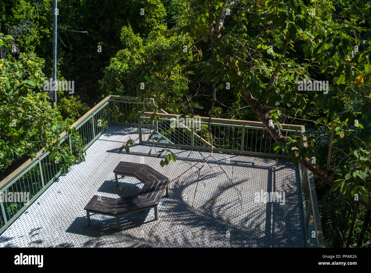 Platform Trees High Resolution Stock Photography and Images - Alamy