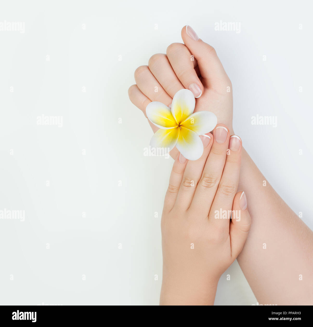 Beautiful female hands on white background. Manicure concept Stock ...