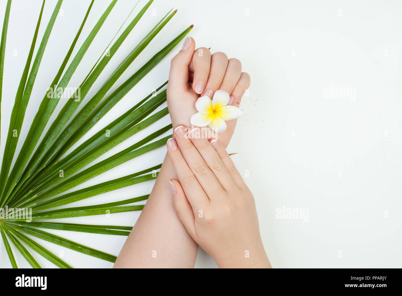 Hand spa flowers hi-res stock photography and images - Alamy