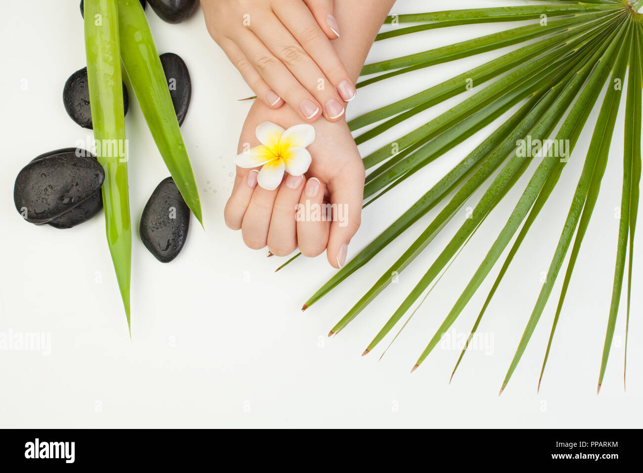 Spa manicure. Beautiful female hands with bowl of water, flowers, green ...