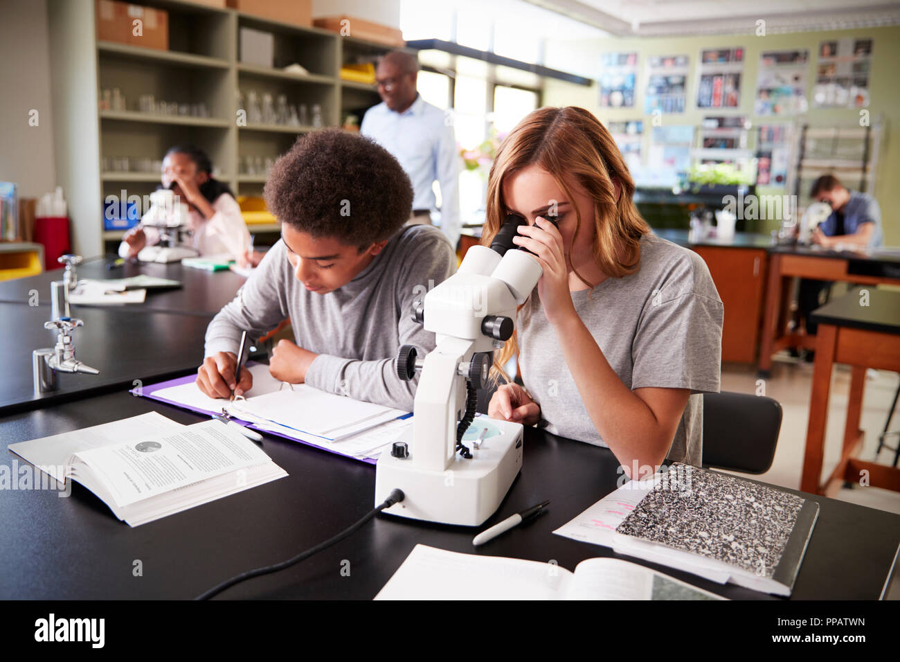 Looking through microscope hi-res stock photography and images - Alamy