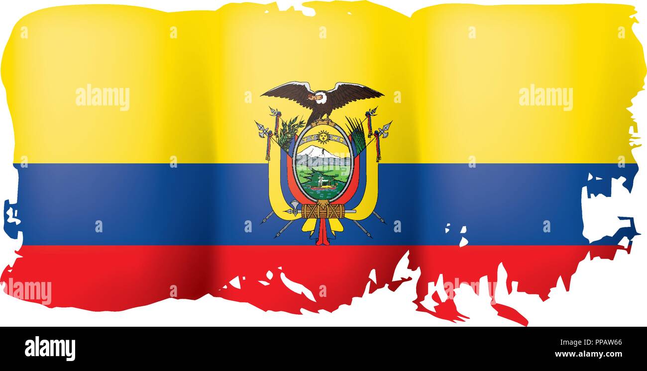 Ecuador flag, vector illustration on a white background Stock Vector ...