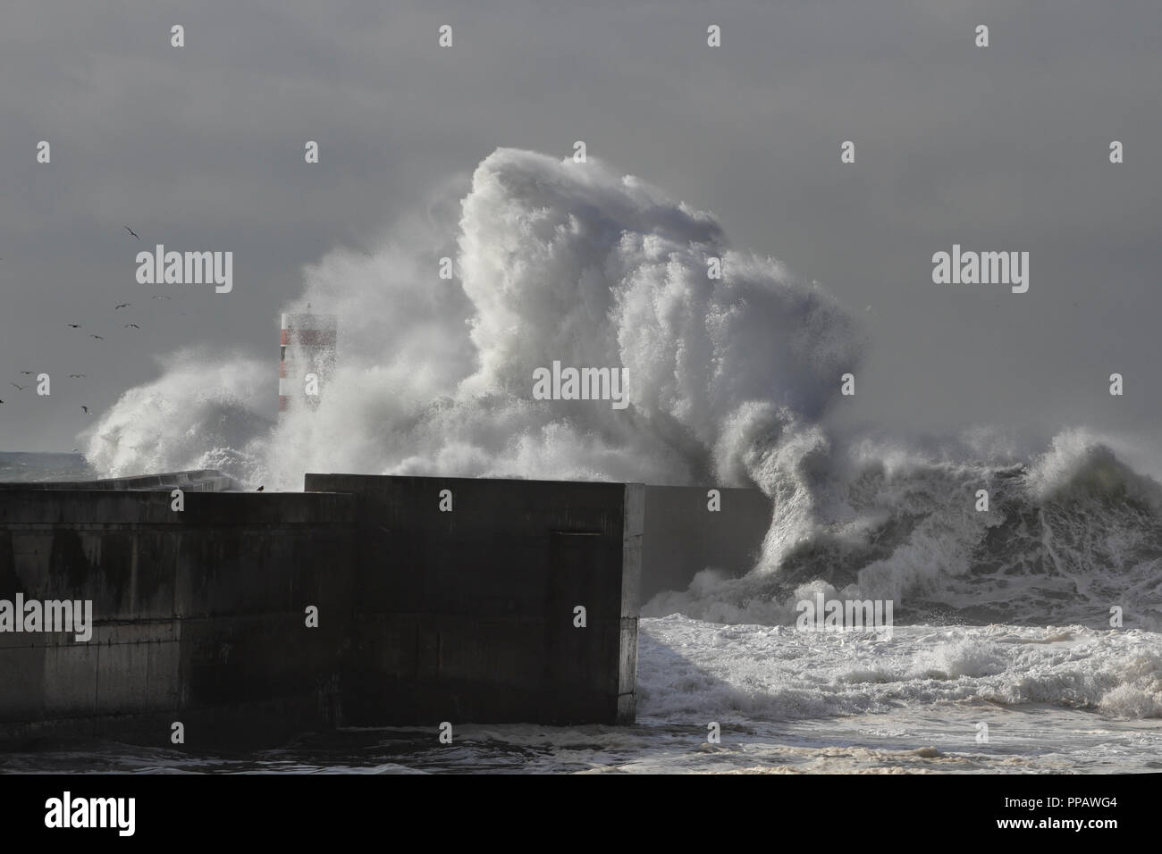 Big stormy sea waves over pier and beacon with big splash Stock Photo ...