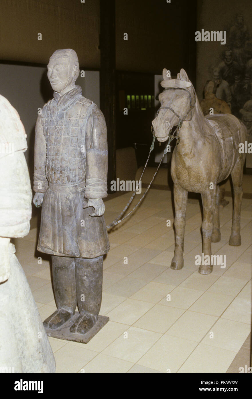 TERRACOTTA SOLDIER with horse from the Terracotta army in Shaanxi China ...