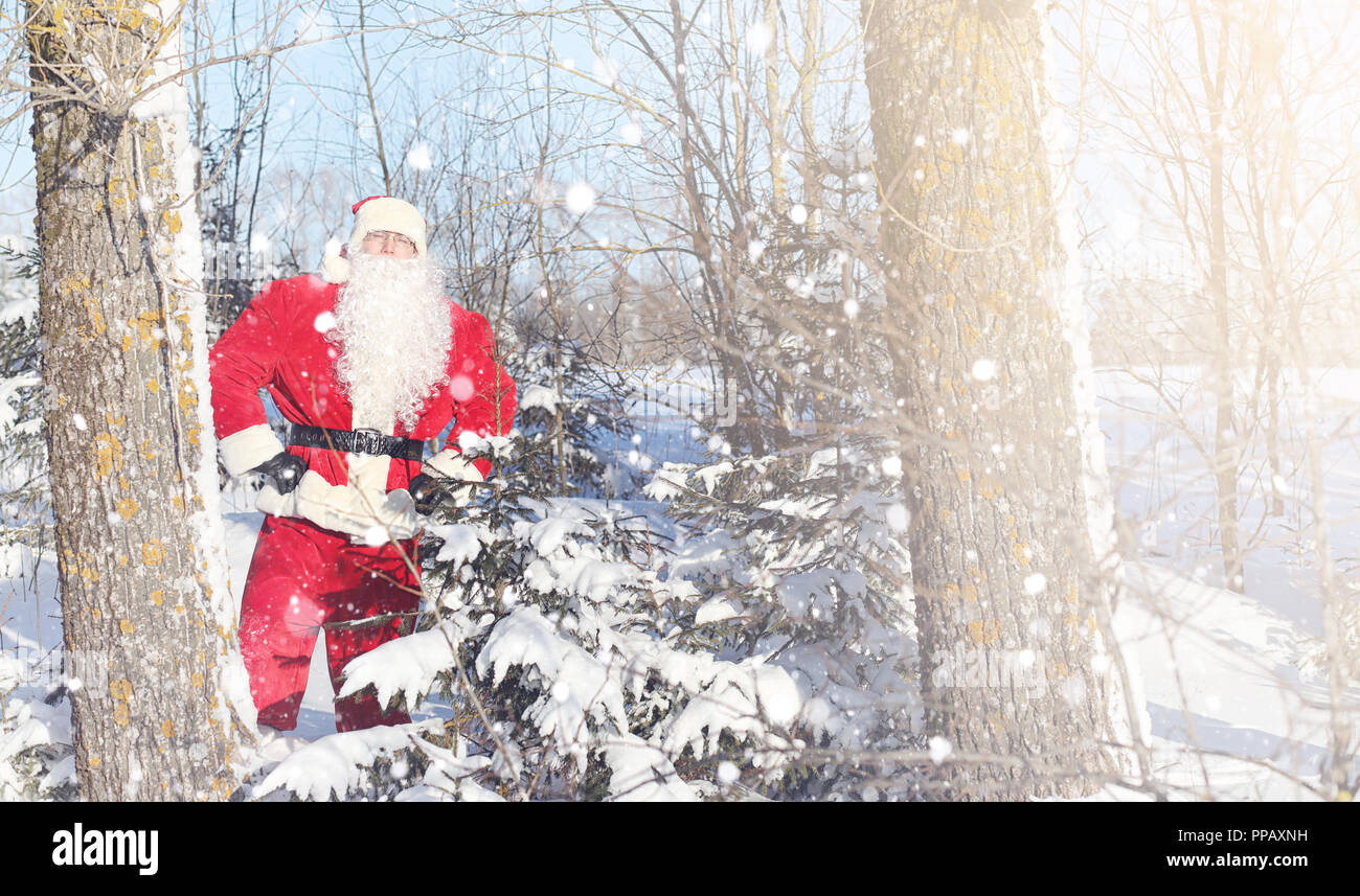 Santa Claus comes with gifts from the outdoor. Santa in a red su Stock ...