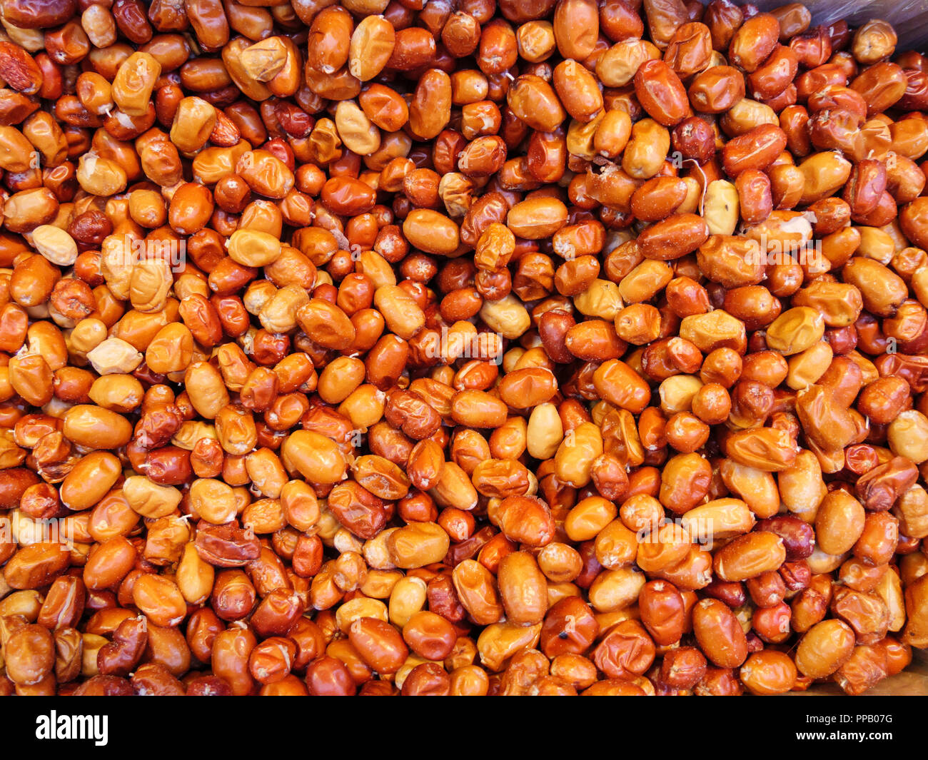 Elaeagnus multiflora ( cherry elaeagnus, cherry silverberry Stock Photo ...