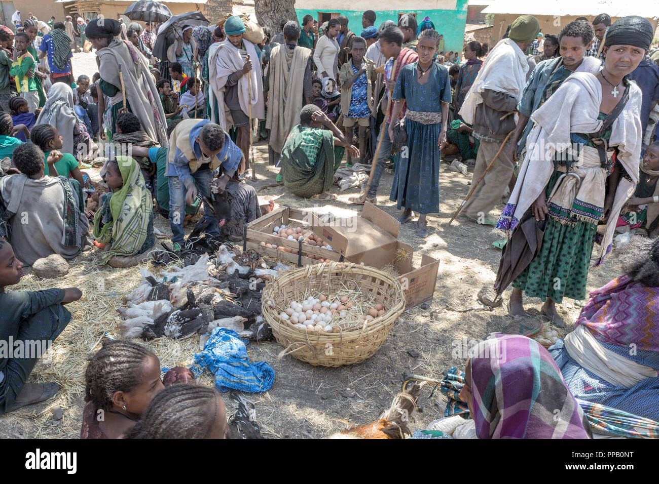 Bilbala village local market near Lalibela, Ethiopia. Hens for sale ...