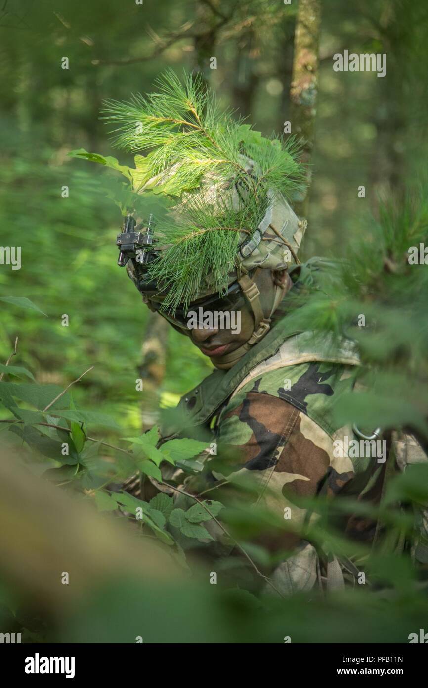 515th Sapper Company High Resolution Stock Photography and Images - Alamy