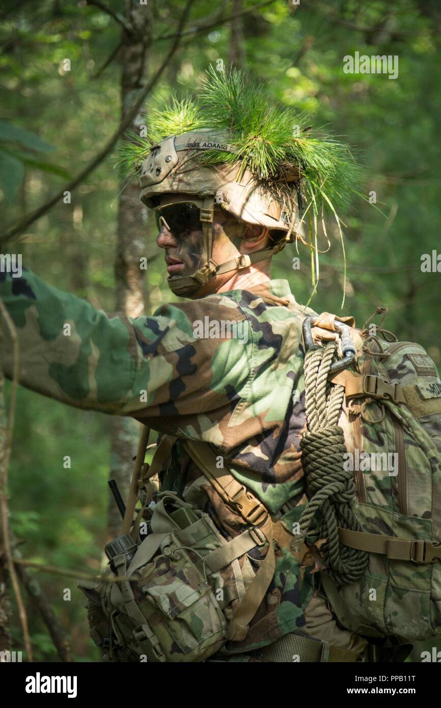 U.S. Army Sgt. Tyler Adams, 515th Sapper Company, patrols the woods ...