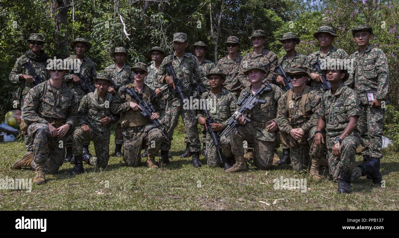 Marines with Fox Company, 2nd Battalion, 3rd Marines and soldiers with ...