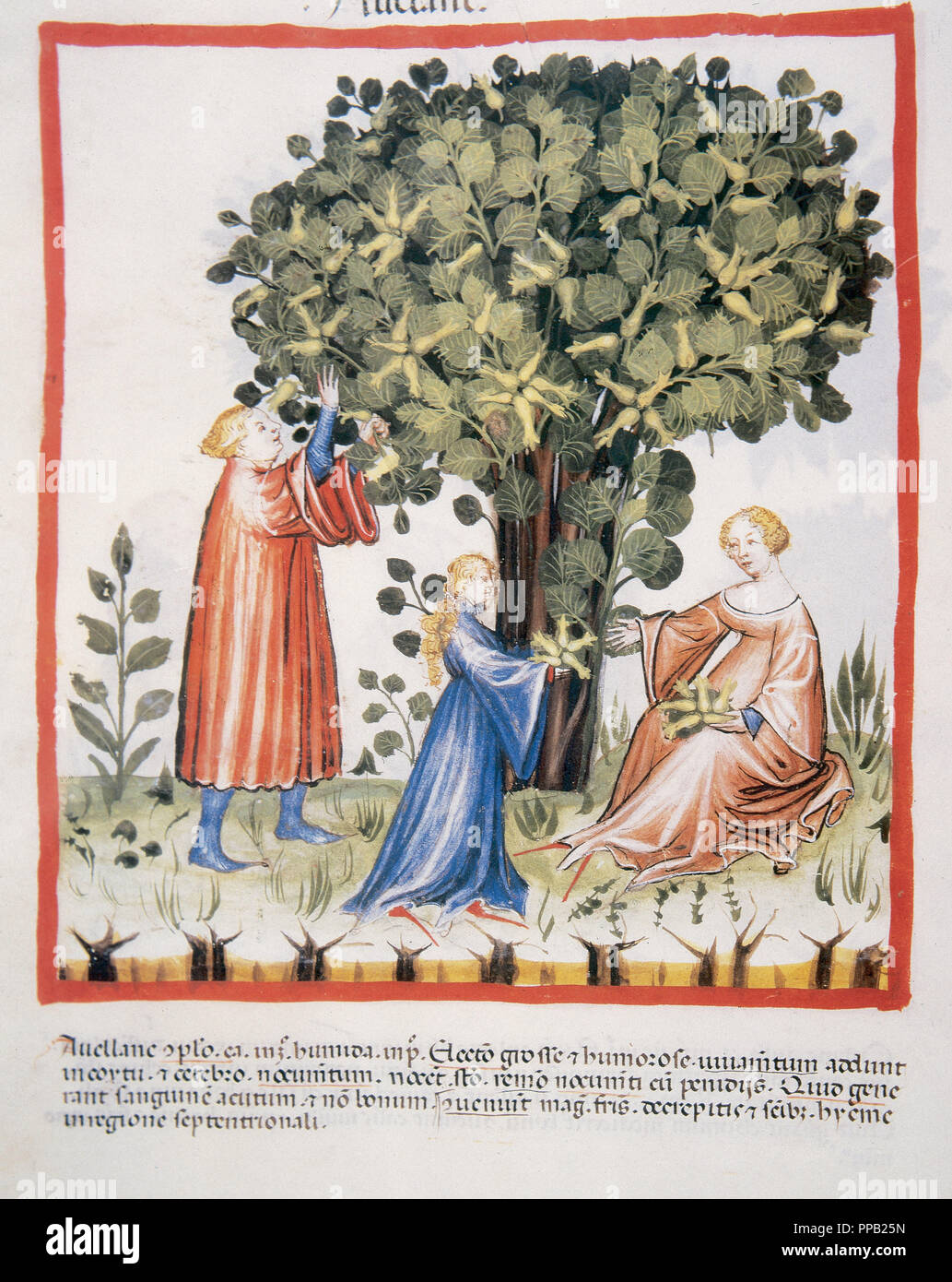 Enema medical clyster history hi-res stock photography and images - Alamy