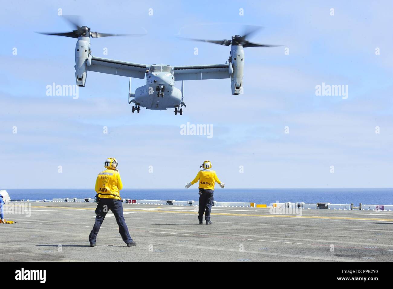 OCEAN (Aug. 14, 2018) Aviation Boatswain’s Mate (Handling) Airman ...