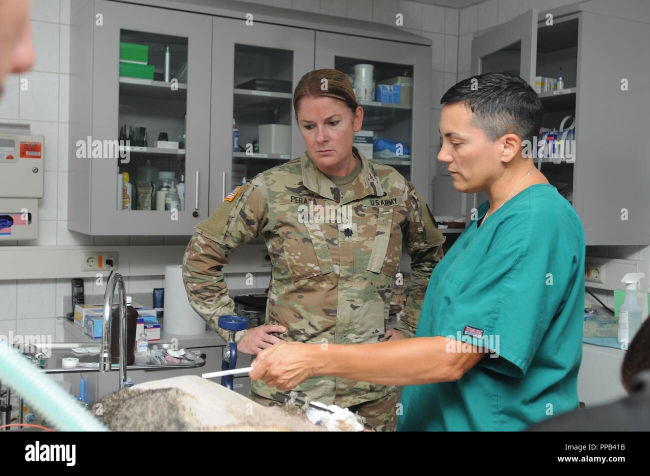 Maj Renee Krebs, Veterinary Medical Center Europe Deputy Director and ...