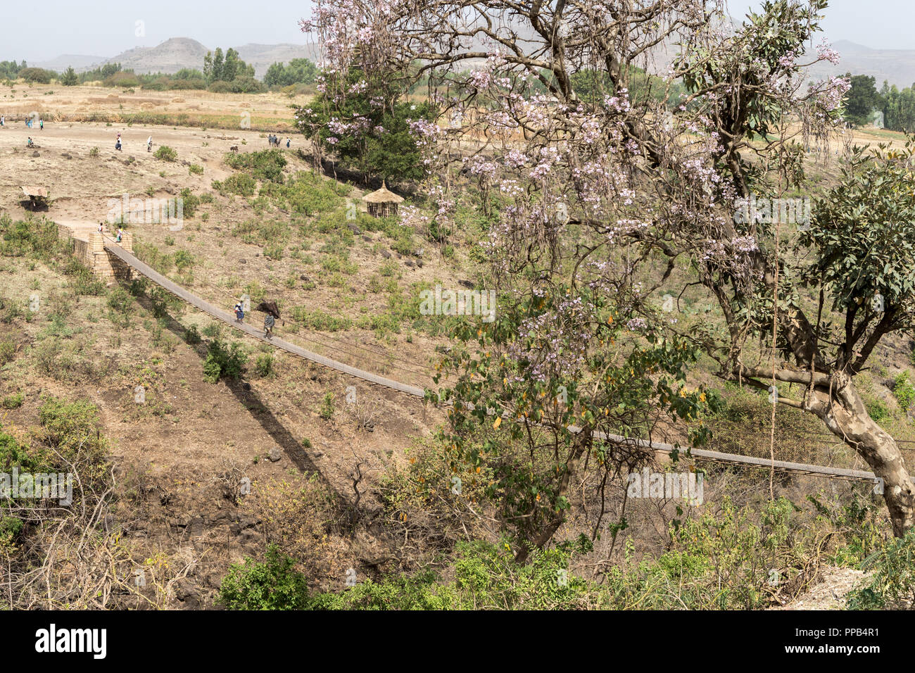 Man carrying cow hide, Metal rope bridge across gorge near Hydro ...