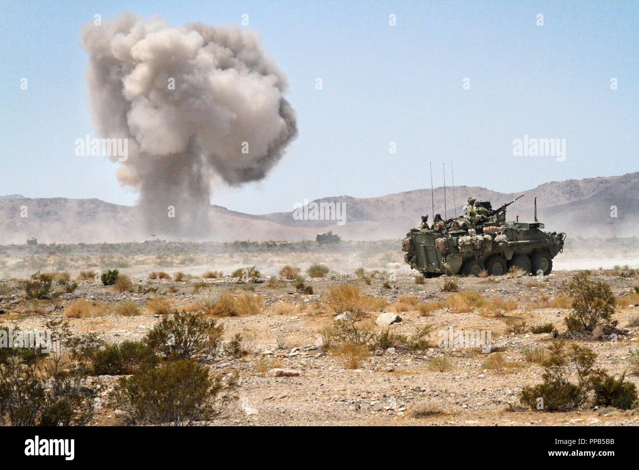 A Stryker crew of Soldiers with Alpha Company, 2nd Battalion, 112th ...