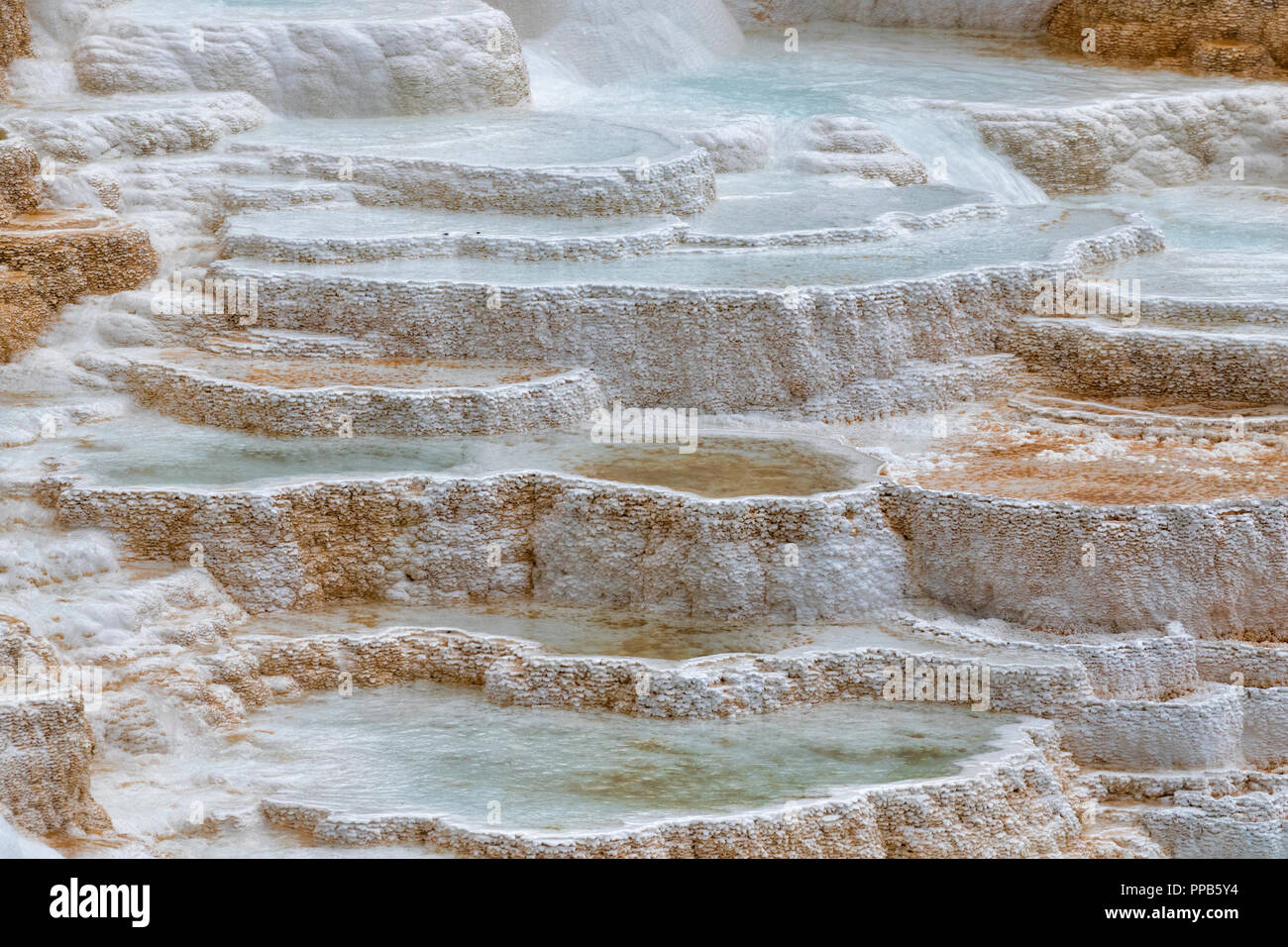 The fragment of Mammoth Hot Springs: thermal pools Stock Photo - Alamy