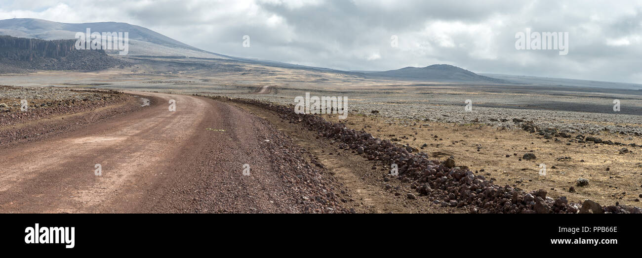 Sanetti Plateau, Afroalpine and Subafroalpine zones, Bale Mountains ...