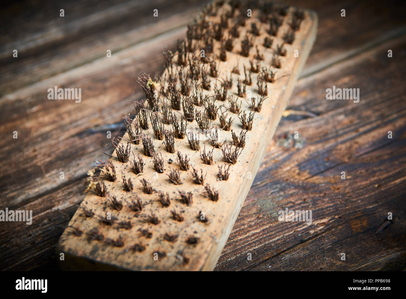 Brush close hi-res stock photography and images - Alamy