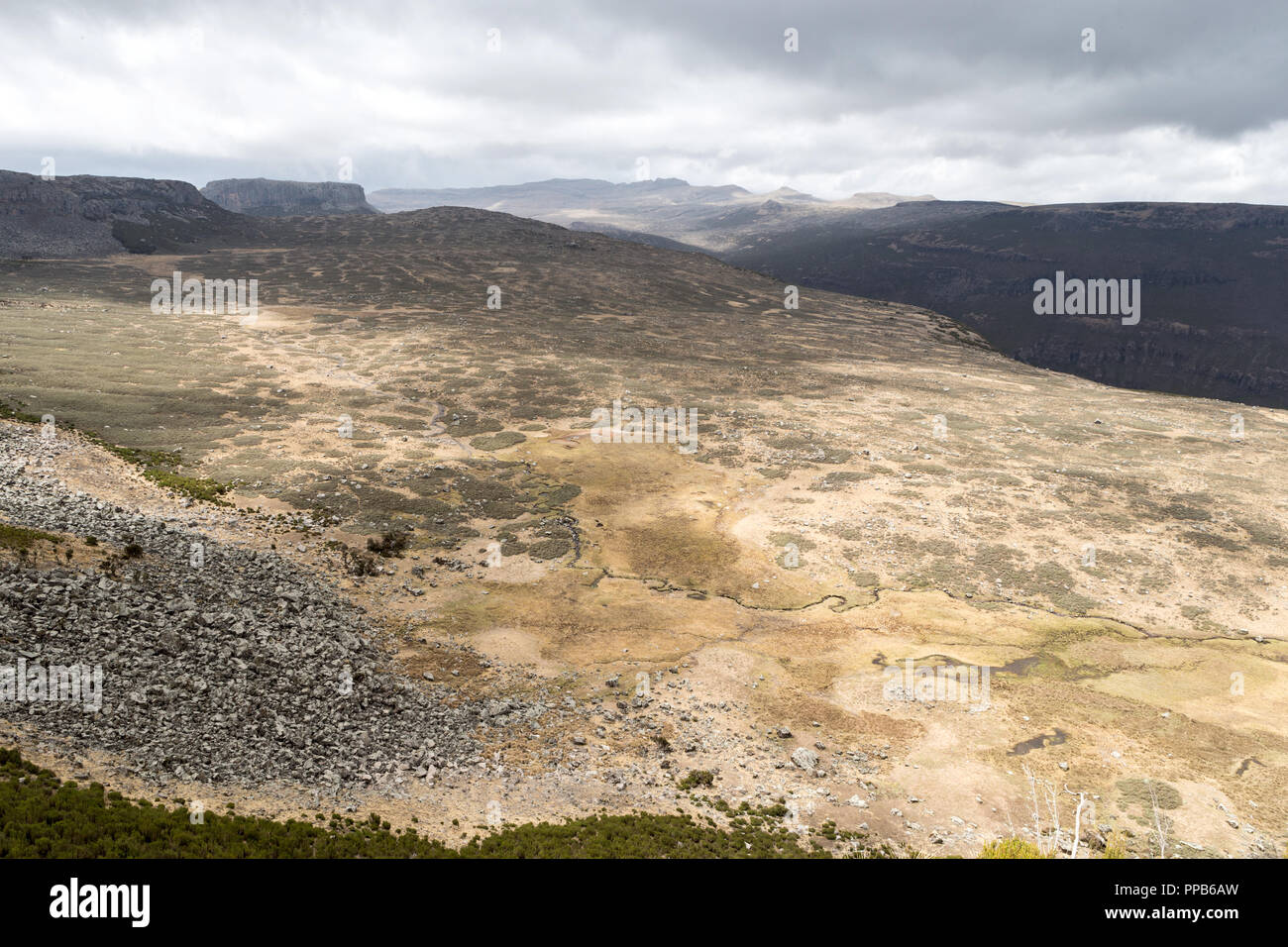 Afroalpine and Subafroalpine zones, Sanetti Plateau, Bale Mountains ...