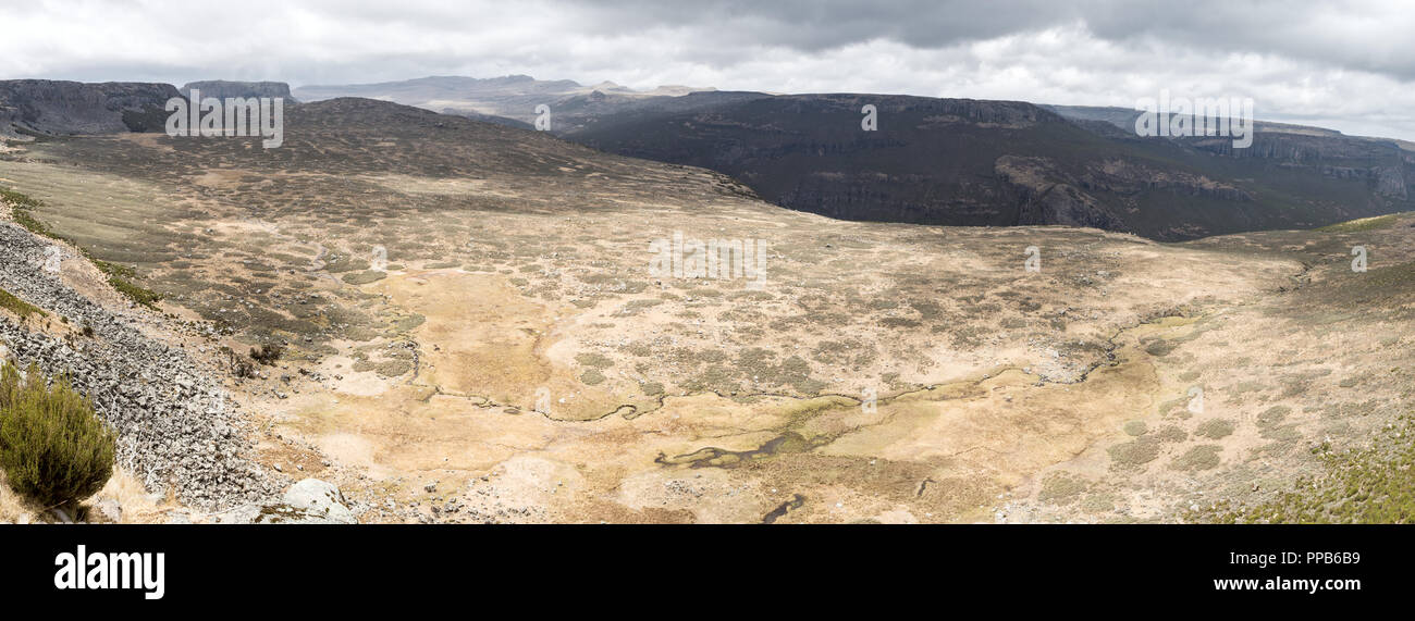 Afroalpine and Subafroalpine zones, Sanetti Plateau, Bale Mountains ...