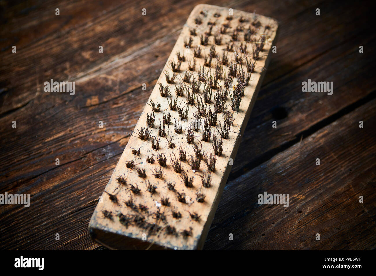 Brush close hi-res stock photography and images - Alamy
