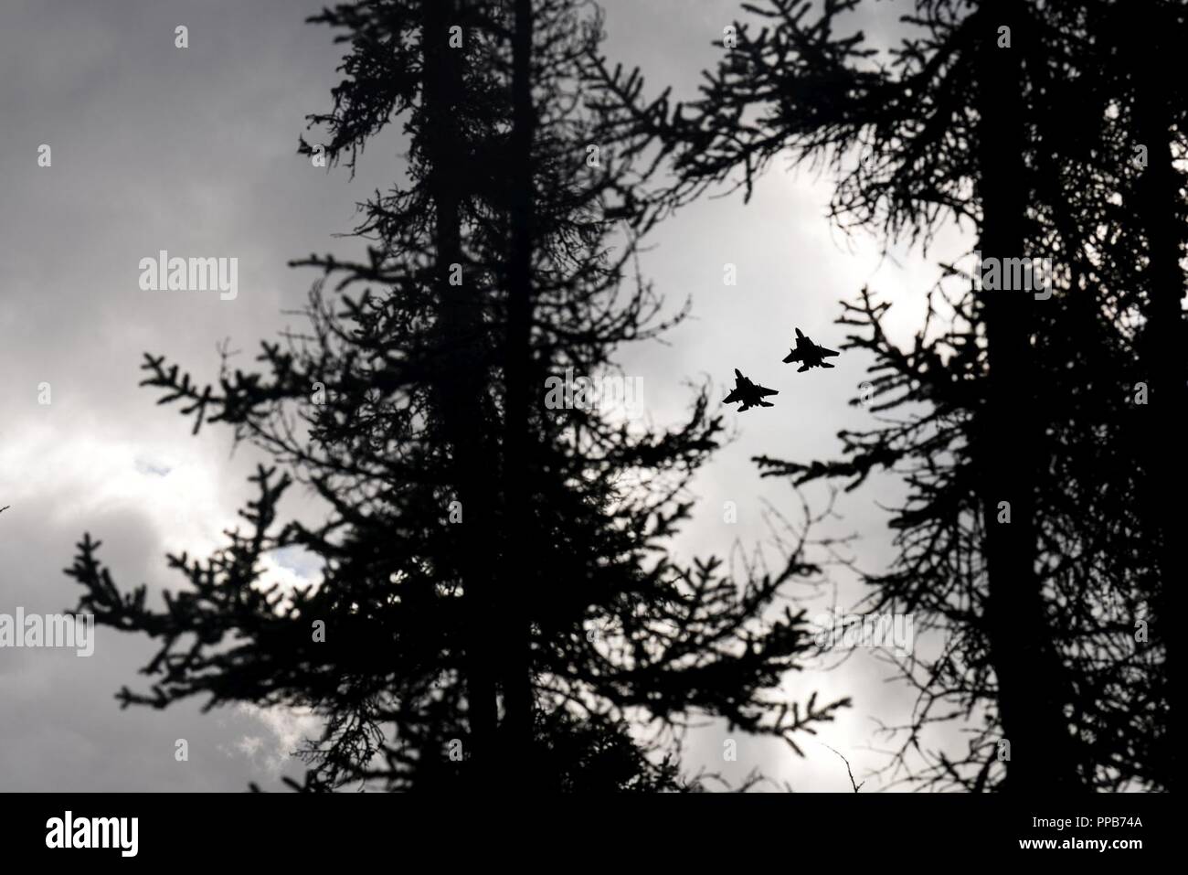 Two U.S. Air Force F-15 Eagles are framed between trees as they return ...