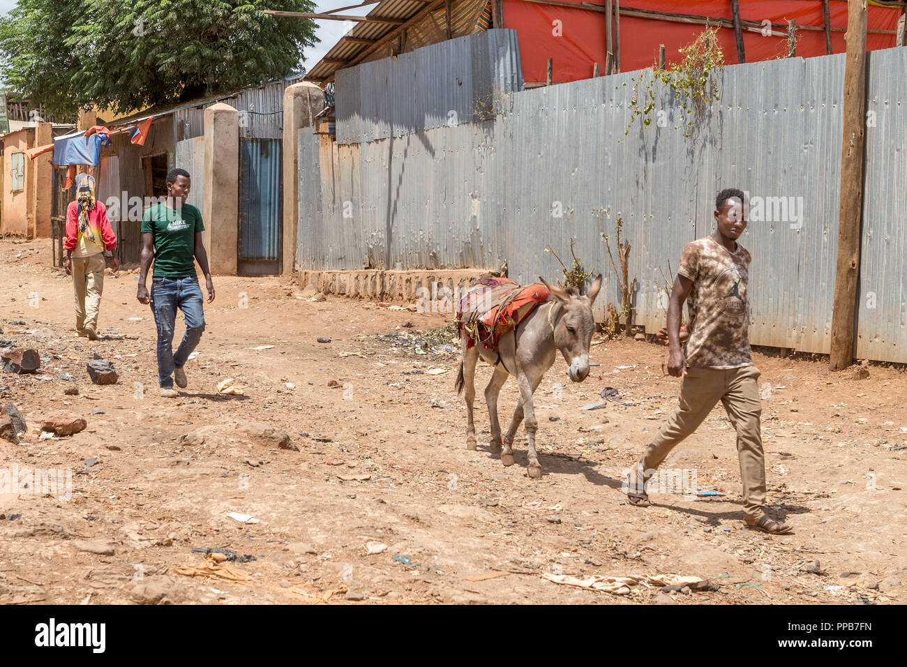 Oromia hi-res stock photography and images - Alamy