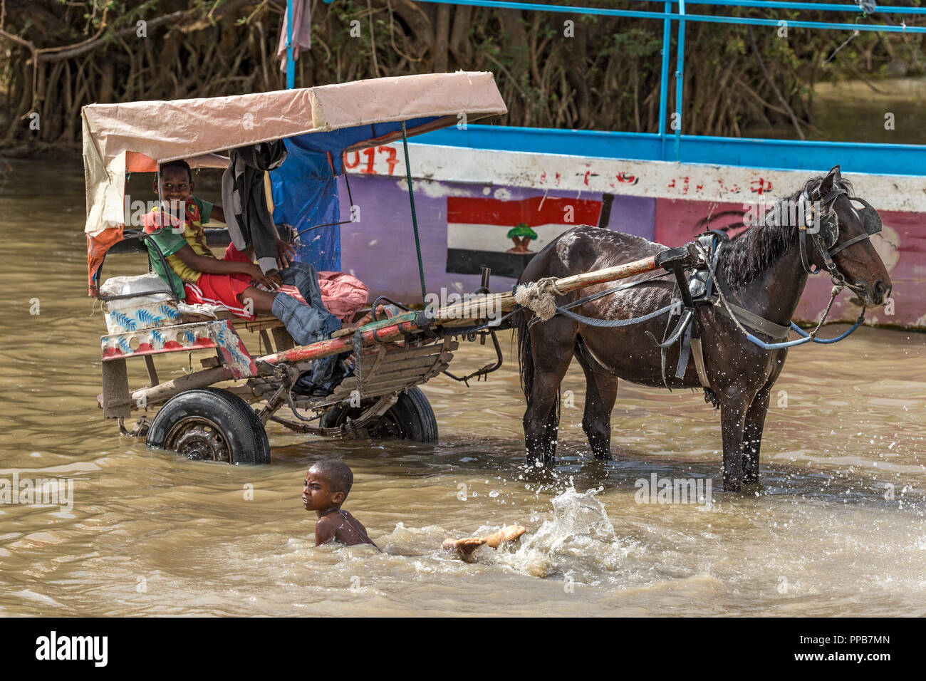 Cooling off, Lake Ziway, Ethiopia Stock Photo - Alamy