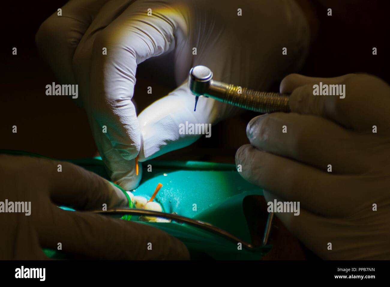 Gantt center hi-res stock photography and images - Alamy