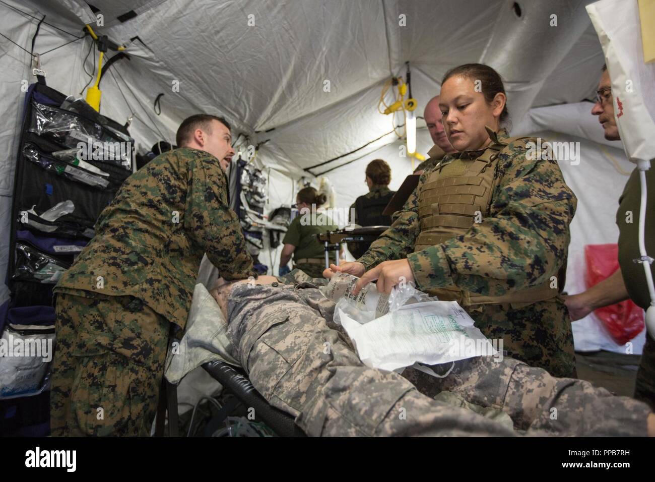 4th medical battalion hi-res stock photography and images - Alamy