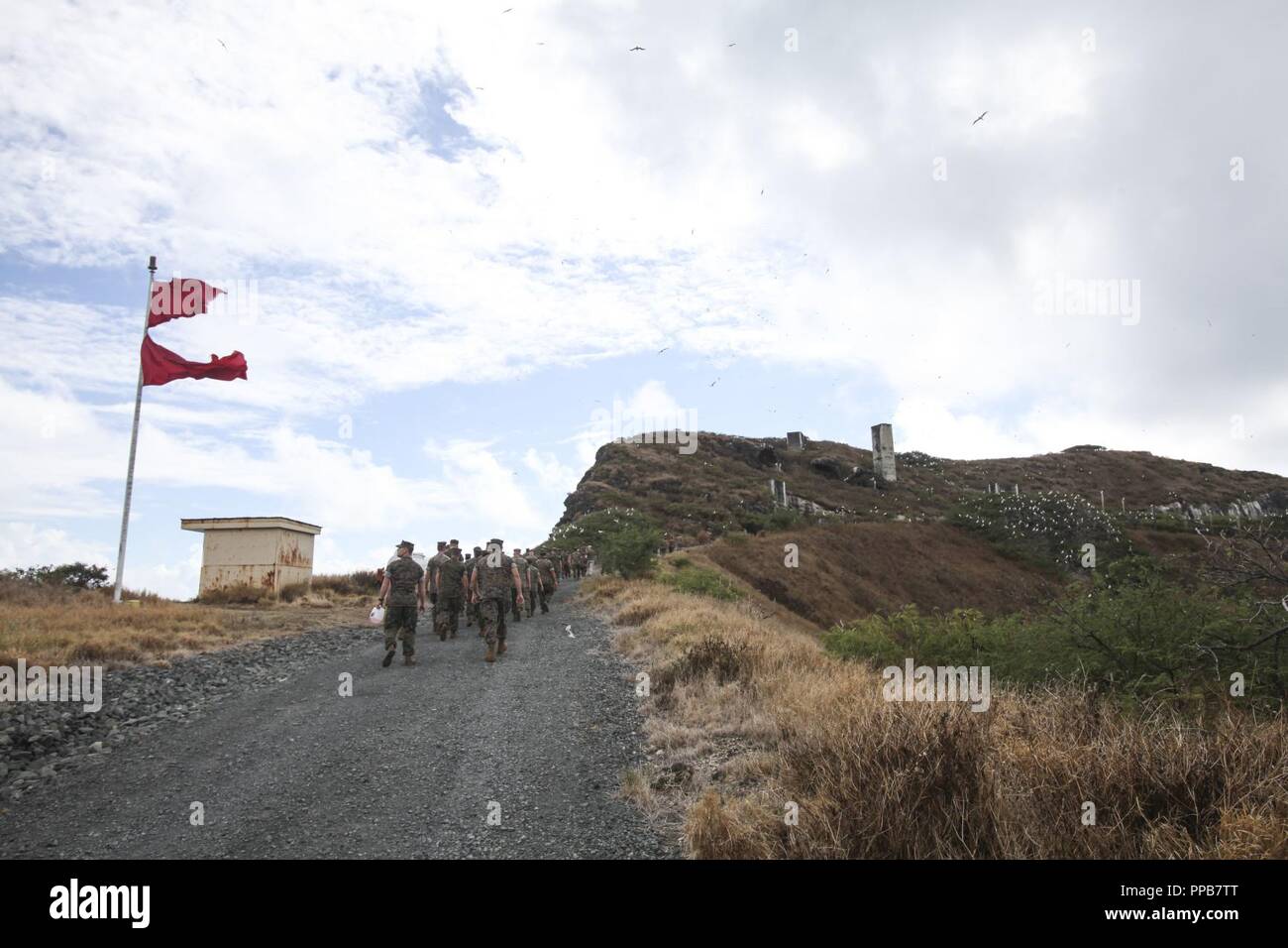 U.S. Marines with Headquarters and Services Battalion, U.S. Marine ...