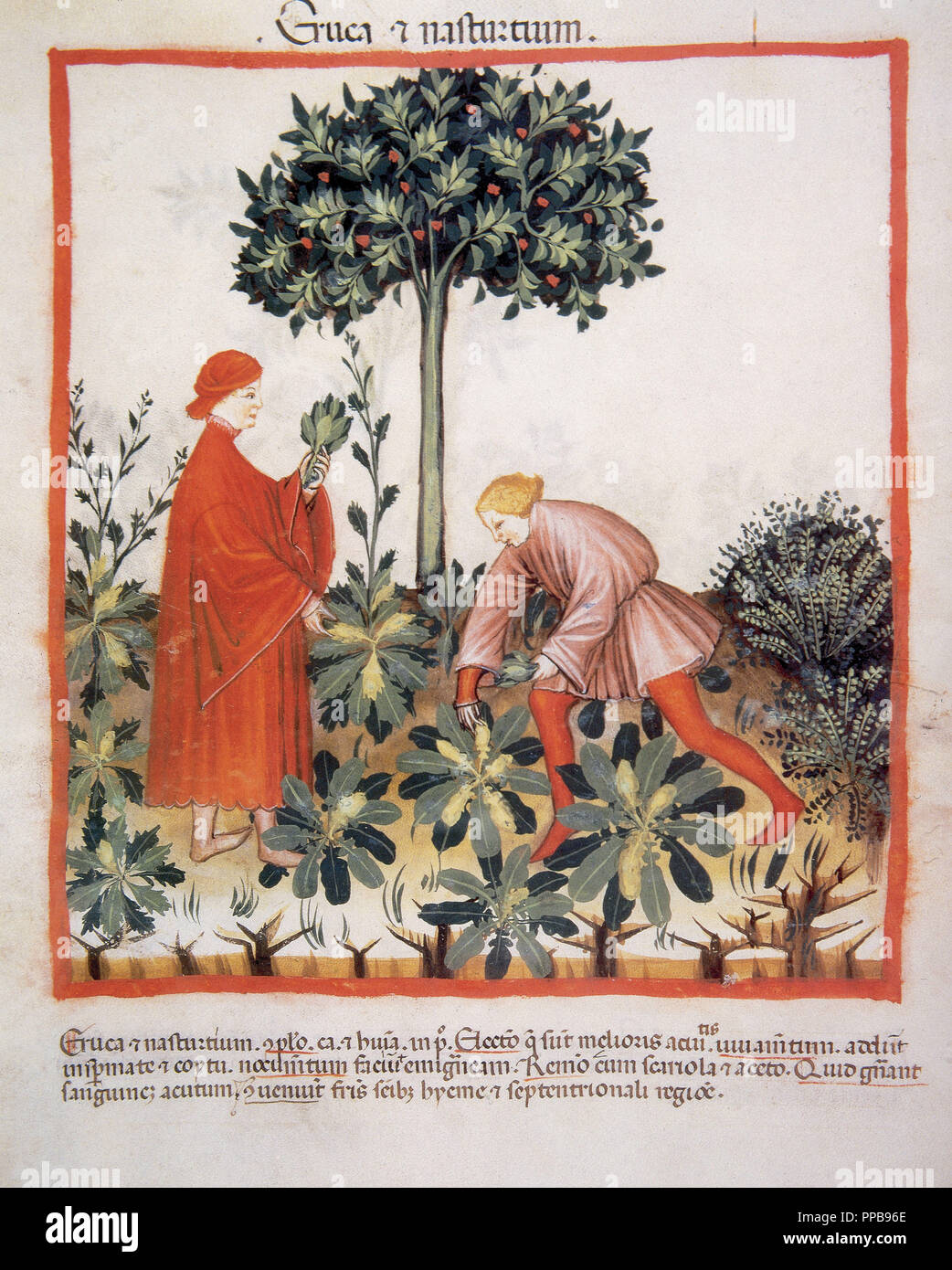 Tacuinum Sanitatis. Medieval Health Handbook, dated before 1400, based ...