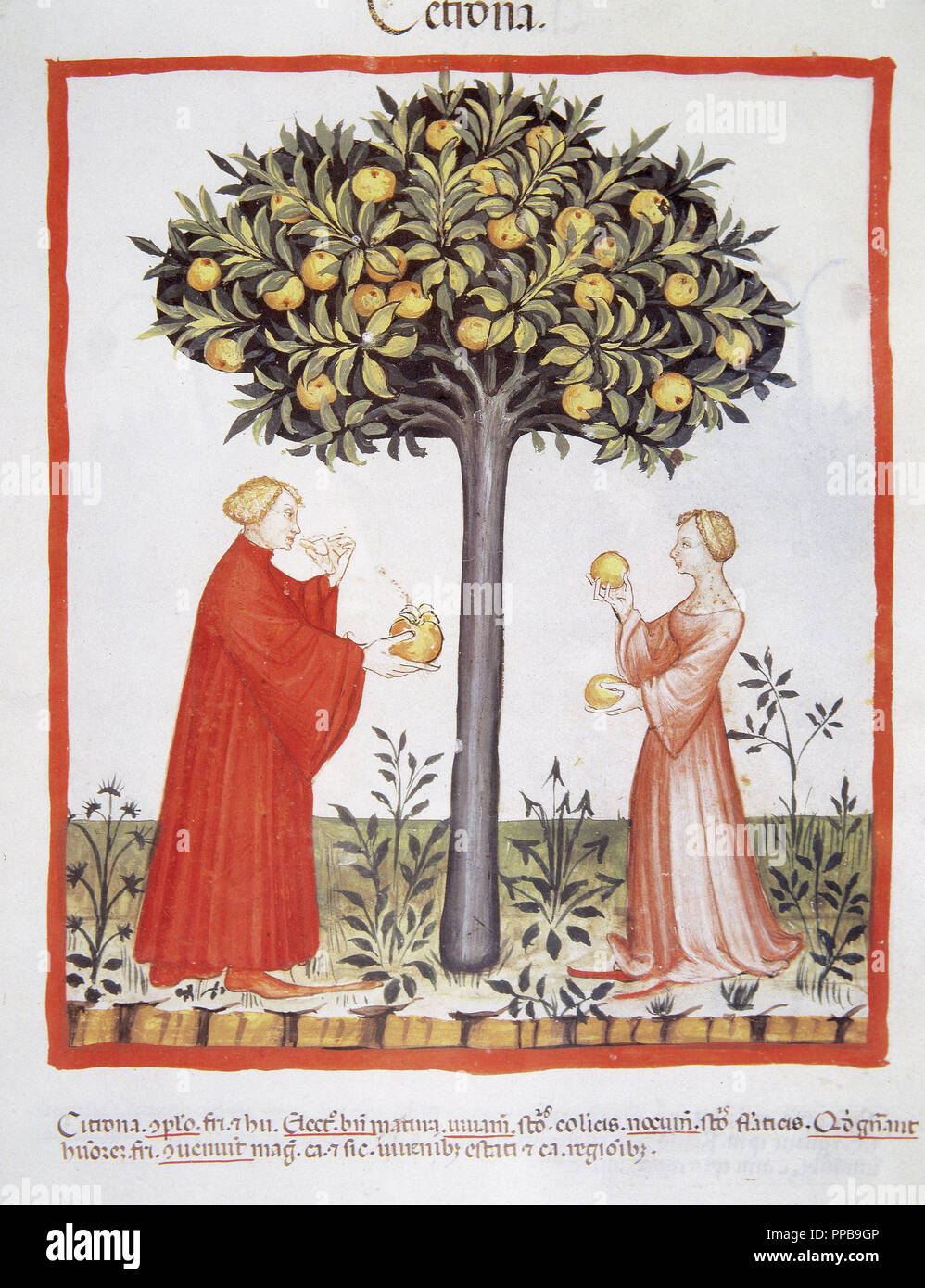 Tacuinum Sanitatis. Medieval Health Handbook, dated before 1400, based ...