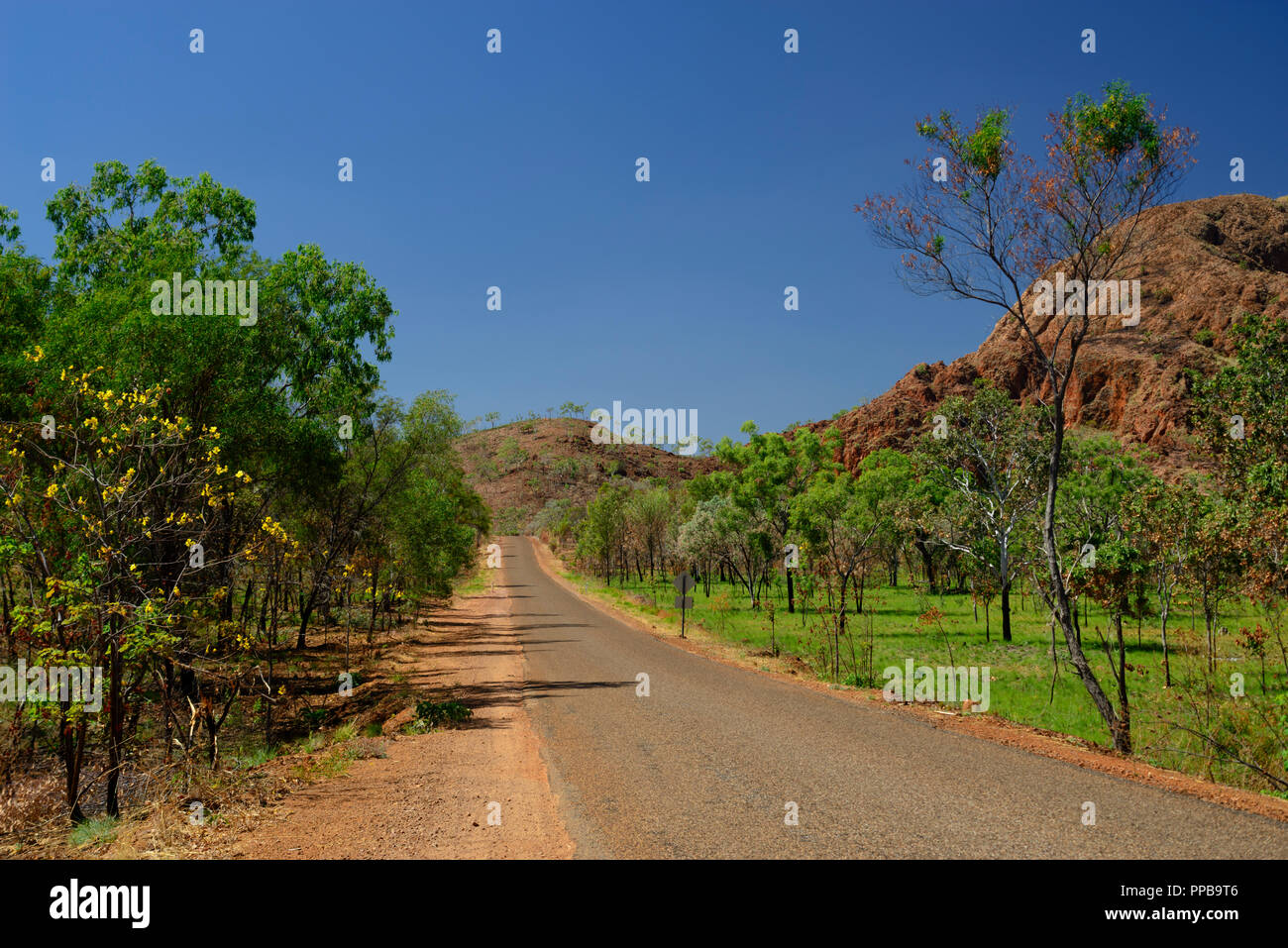 Outback lush green trees, Northern Territory, Australia Stock Photo - Alamy