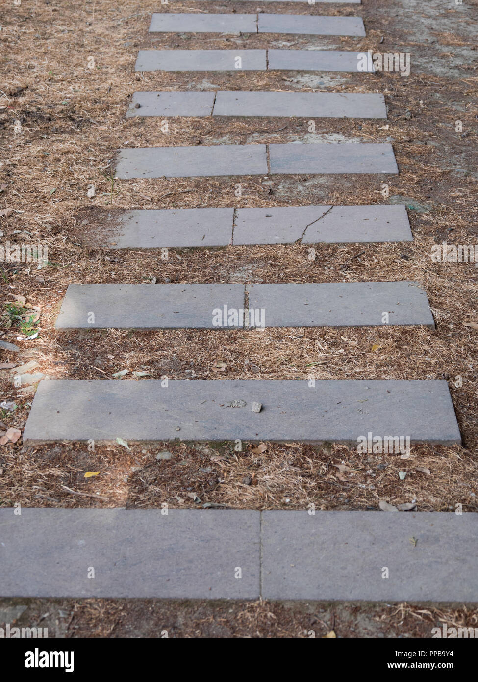 Stone walk path Stock Photo - Alamy
