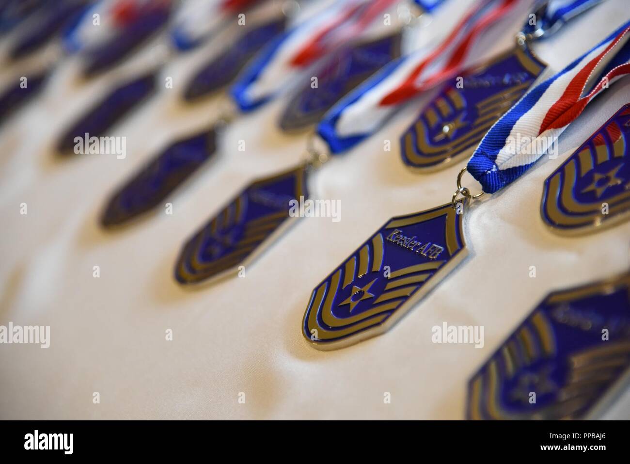 Medallions are displayed during the Senior NCO Induction Ceremony at ...