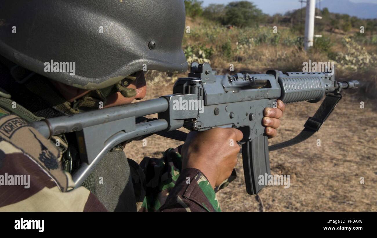 INDONESIA (Aug. 16, 2018) - The Indonesian Marine company commander ...