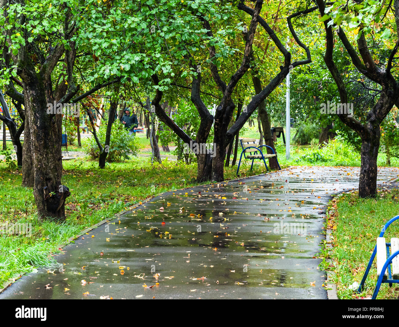 September season hi-res stock photography and images - Alamy