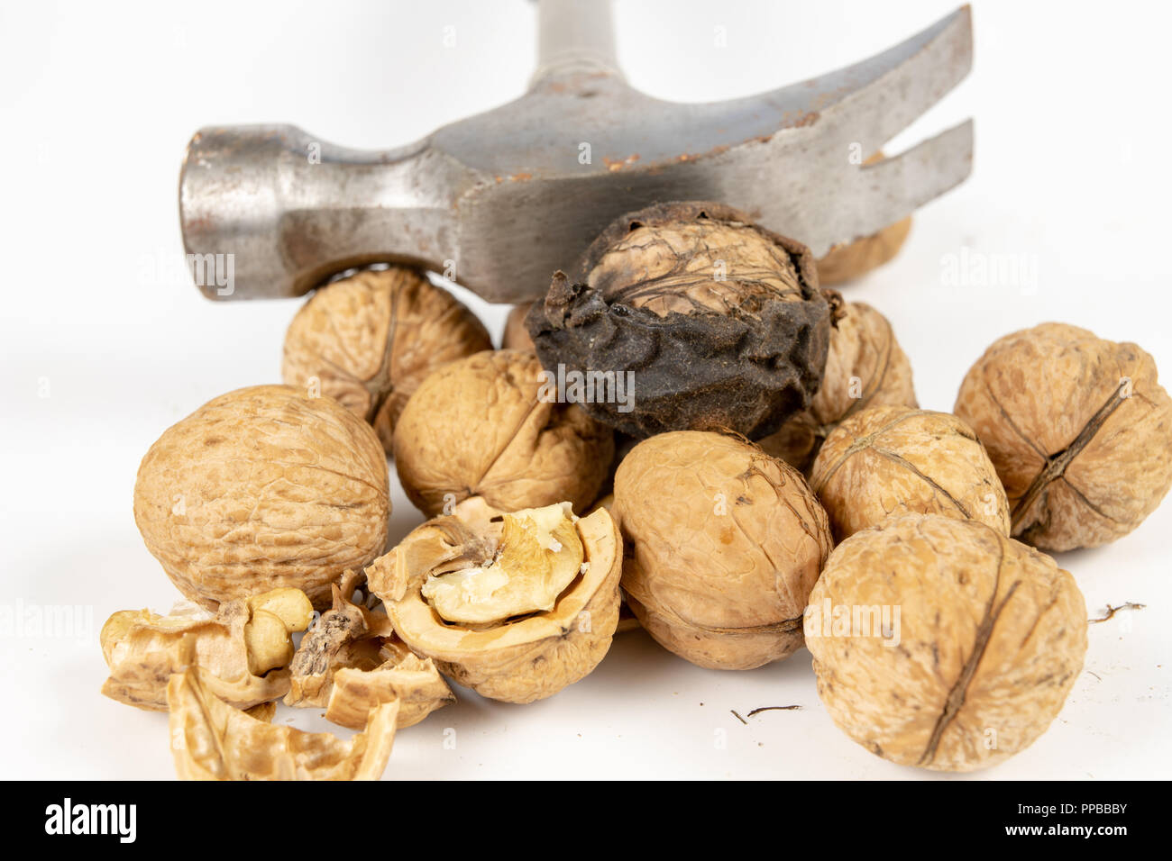 Hammer and italian edible nuts on a white kitchen table. Delicacies ...