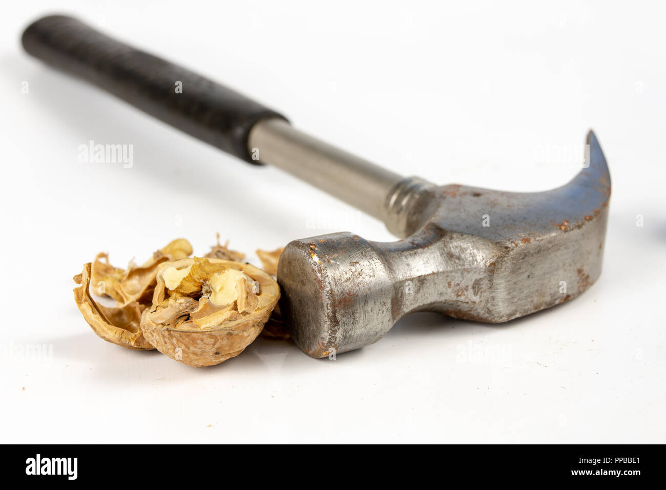 Hammer and italian edible nuts on a white kitchen table. Delicacies ...